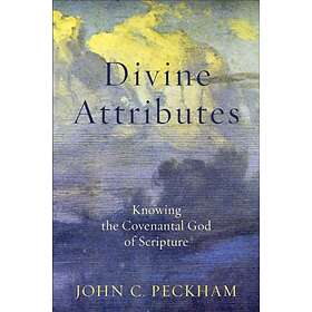 Divine Attributes av John C. Peckham - Hitta bästa pris på Prisjakt