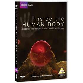 Best pris på The Human Body DVD DVD-filmer - Sammenlign priser hos Prisjakt