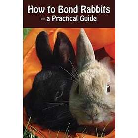 Best pris på How to Bond Rabbits: a Practical Guide Bøker - Sammenlign ...