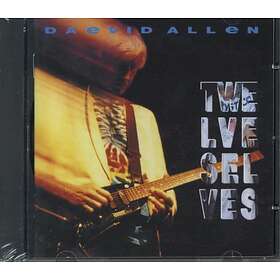 Daevid Allen Twelve Selves CD, Från 99 kr