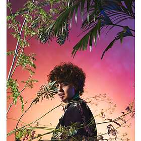 Shay My World Too CD, Från 159 kr