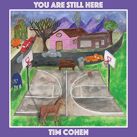 Tim Cohen You Are Still Here LP - Sammenlign priser hos Prisjakt
