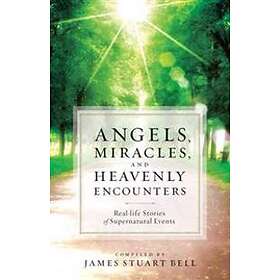 Best pris på Angels, Miracles, and Heavenly Encounters – Real–Life ...