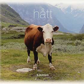 Hått B-Burger CD - Hitta bästa pris på Prisjakt