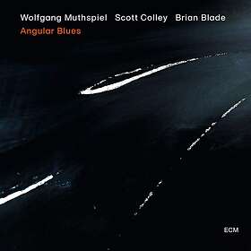 Wolfgang Muthspiel / Scott Colley Brian Blade Angular Blues LP - Hitta ...