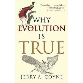 Jerry A Coyne: Why Evolution is True - Sammenlign priser hos Prisjakt