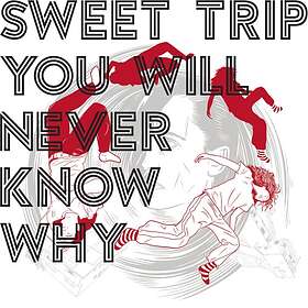 Sweet Trip You Will Never Know Why LP - Hitta bästa pris på Prisjakt