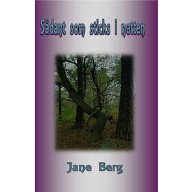 Jane Berg: Sådant som sticks i natten, Från 146 kr