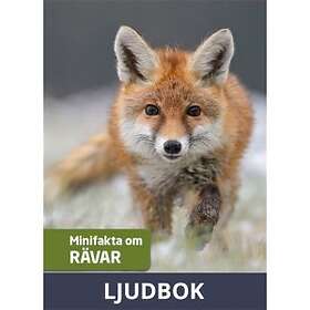 Minifakta om rävar, Ljudbok - Hitta bästa pris på Prisjakt