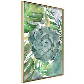 Artgeist Poster Affisch Tropical Flora [Poster] 20x30 A3-DRBPRP1681s_zr ...