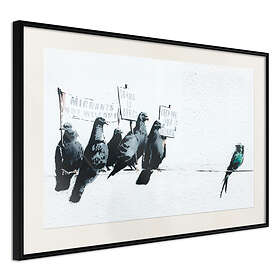 Artgeist Poster Affisch Xenophobic Pigeons [Poster] 45x30 A3 ...