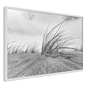 Artgeist Poster Affisch Seaside Reed [Poster] 45x30 A3-DRBPRP0054m_br ...