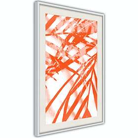 Artgeist Poster Affisch Palm Composition [Poster] 40x60 A3-DRBPRP1024l ...