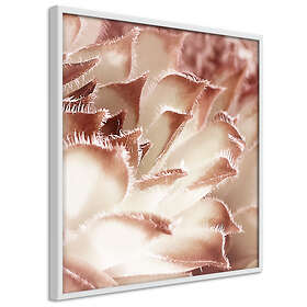 Artgeist Poster Affisch Delicate Touch [Poster] 20x20 A3-DRBPRP0001_br ...