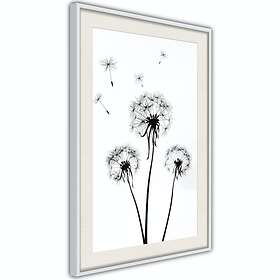 Artgeist Poster Affisch Flying Dandelions [Poster] 30x45 A3-DRBPRP0429m ...