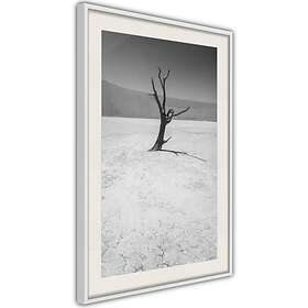 Artgeist Poster Affisch Tree in the Desert [Poster] 20x30 A3 ...