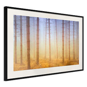 Artgeist Poster Affisch Foggy Forest [Poster] 90x60 A3-DRBPRP0123x_cr ...