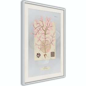 Artgeist Poster Affisch Mysterious Tree [Poster] 20x30 A3-DRBPRP0600s ...