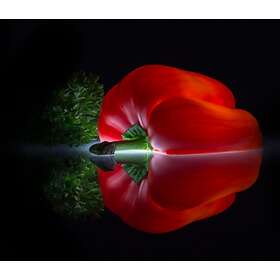 Chopped Poster - Hitta bästa pris på Prisjakt