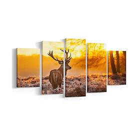 Homemania Väggramverk Hjort 1371615 - Hitta bästa pris på Prisjakt