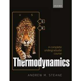 Andrew M Steane: Thermodynamics - Sammenlign priser hos Prisjakt