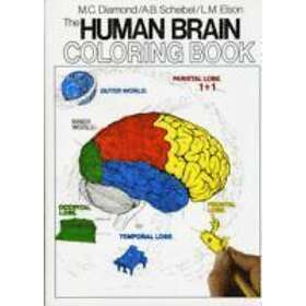Marian C Diamond, Arnold B Scheibel: The Human Brain Coloring Book ...