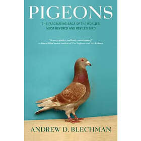 Andrew D Blechman: Pigeons - Black Friday 2025 – Tilbud fra 178