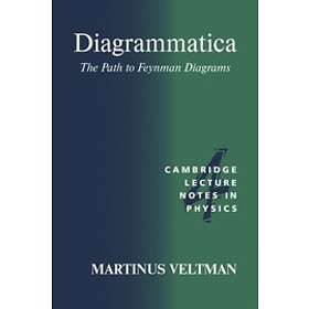 Martinus Veltman: Diagrammatica, Från 300 kr