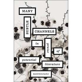 Daniel Levin Becker: Many Subtle Channels - finn riktig produkt og pris ...