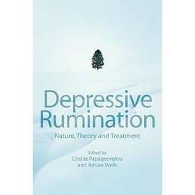 C Papageorgiou: Depressive Rumination Nature, Theory and Treatment ...