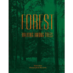Matt Collins: Forest - Black Friday 2025 – Tilbud fra 349