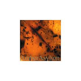 Amber Asylum Frozen In Amber CD - Black Friday 2025 – Erbjudanden från ...