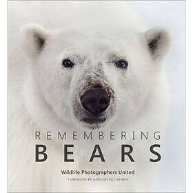 Remembering Bears, Från 899 kr