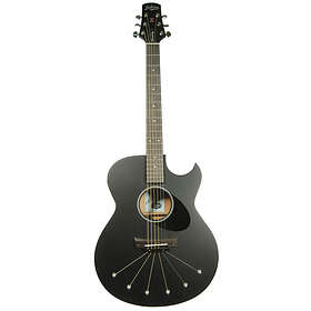 Babicz Spider Acoustic - Hitta bästa pris på Prisjakt