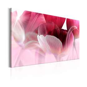 Arkiio Tavla Nature Pink Tulips 90x60 A3-N6757 - Black Friday 2025 ...
