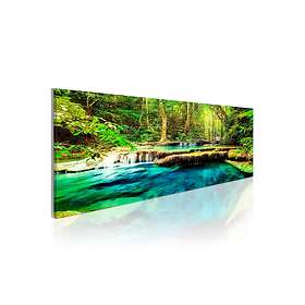 Arkiio Tavla A Jewel Of Nature 135x45, Från 999 kr
