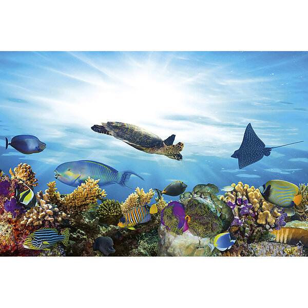 Dimex Tapet Fish MS-5-0216-DX - Hitta bästa pris på Prisjakt