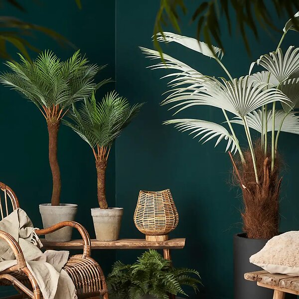 Palm 150 cm Grå, från 7 695 kr i butiker på Prisjakt