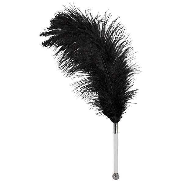 Bad Kitty Feather Wand, från 131 kr i butiker på Prisjakt