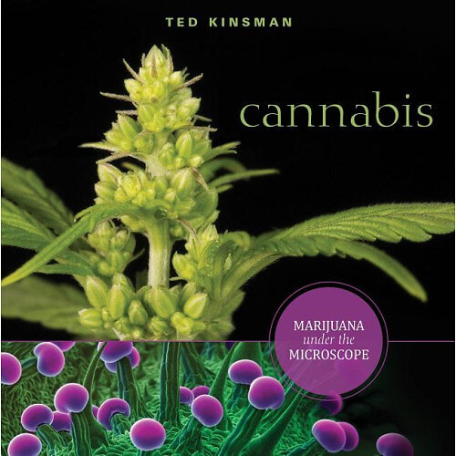 Cannabis marijuana under the microscope (häftad, eng), Från 139 kr