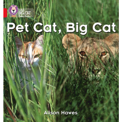 Pet Cat, Big Cat (häftad, eng) - Price from £8.49