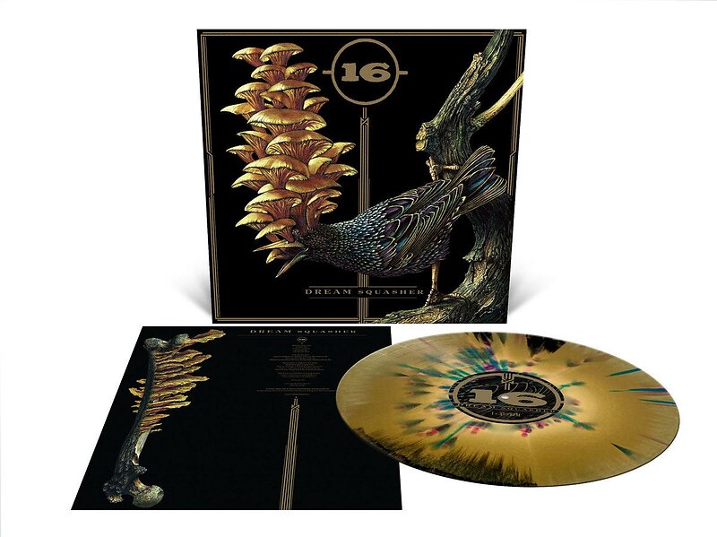 16 Dream Squasher LP/Vinyl, från 319 kr i butiker på Prisjakt