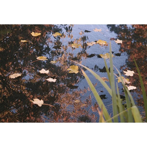Ubbink Pond PE 3x2 m 447538 - Price from £12.99