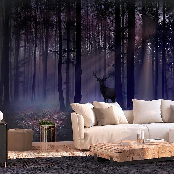 Arkiio Fototapet Mystical Forest Second Variant 300x210, Från 1 219 kr
