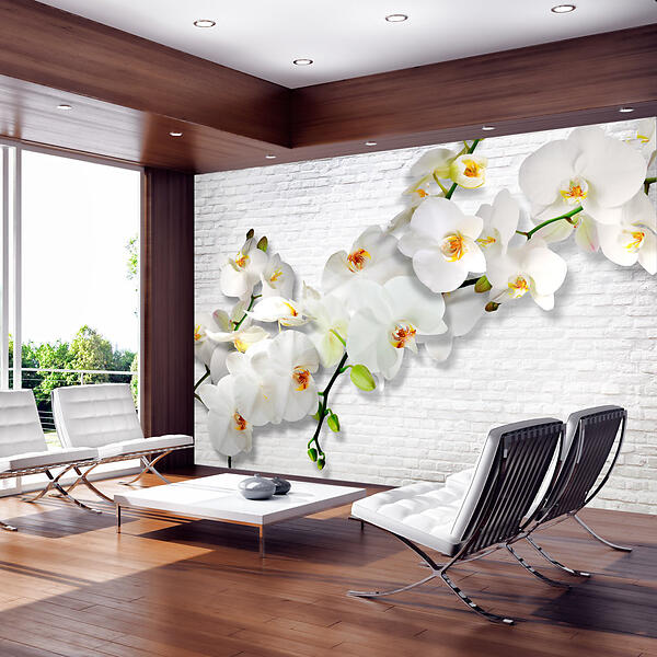 Arkiio Fototapet The Urban Orchid 300x210, Från 1 219 kr