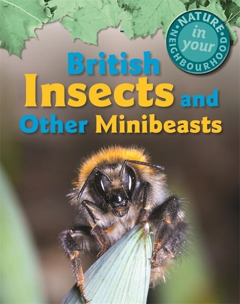 Nature In Your Neighbourhood: British Insects And Other Minibeasts ...