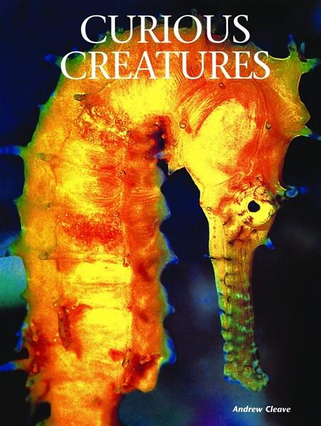 Curious Creatures av Andrew Cleave - Price from £12.16