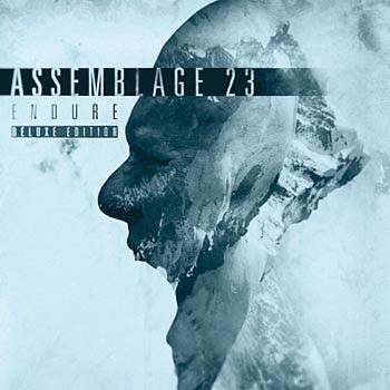 Assemblage 23 Endure CD, Från 199 kr