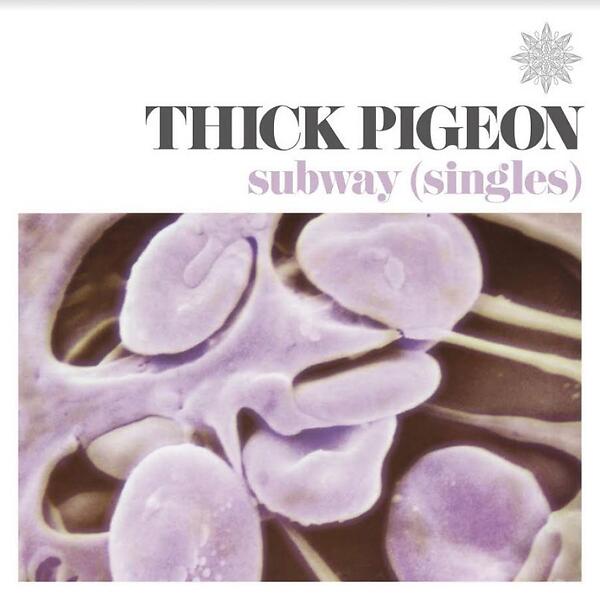 Thick Pigeon Subway Singles LP - Price from £24.61