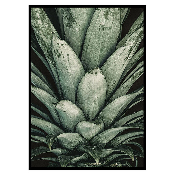 Gallerix Poster Pineapple Close 2637-50x70, Från 295 kr